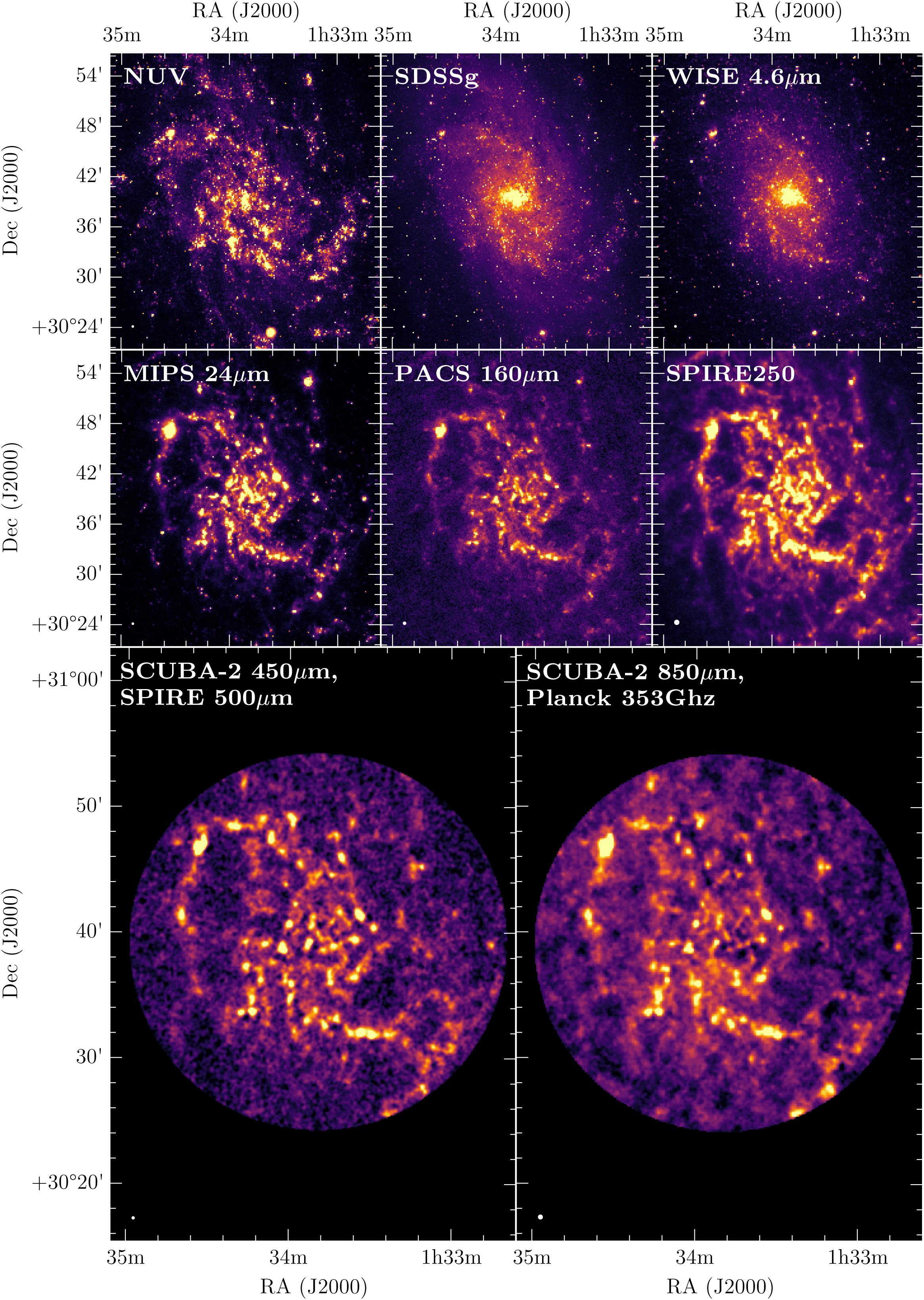 The star formation law at GMC scales in M33, the Triangulum galaxy - ADS