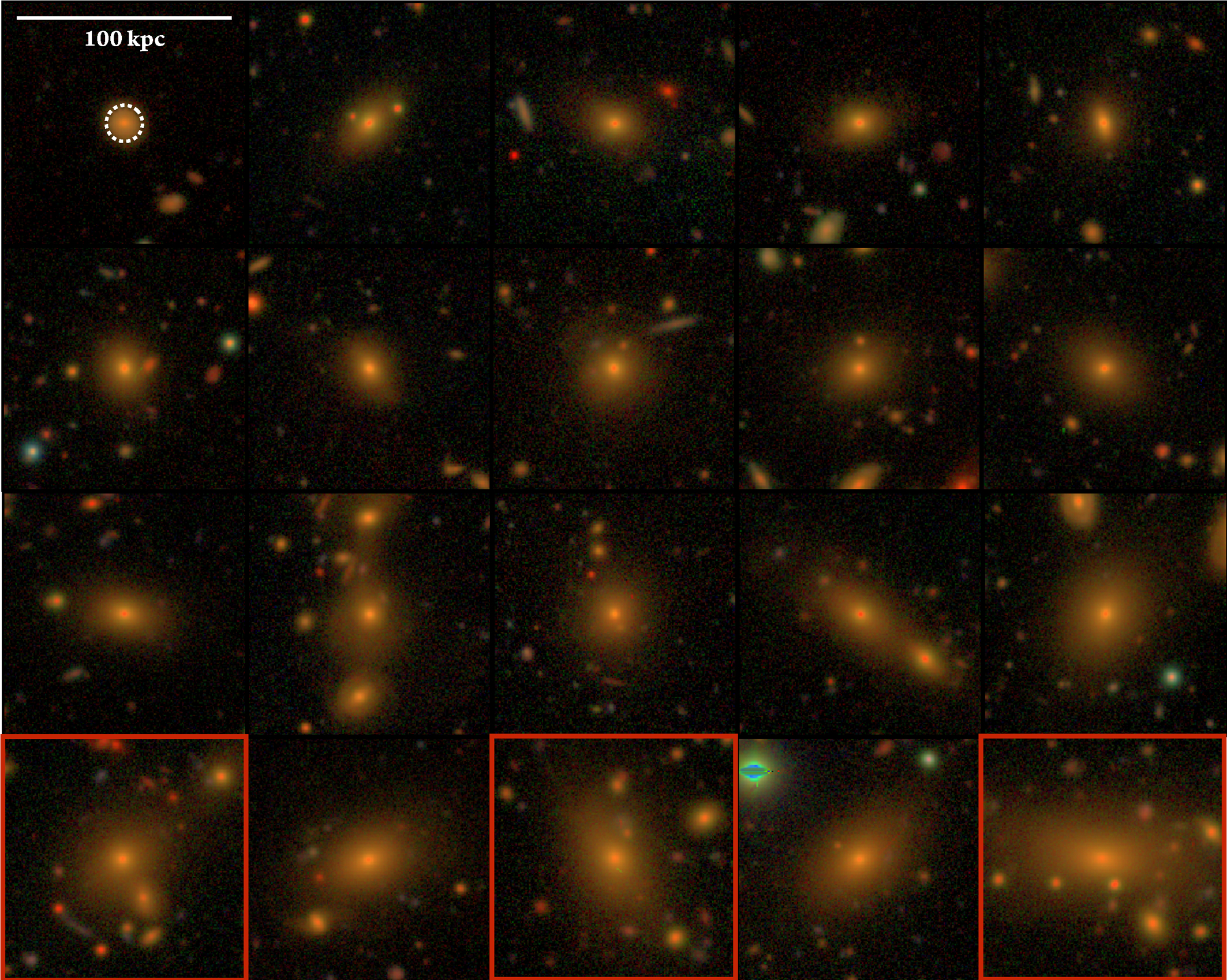 A detection of the environmental dependence of the sizes and stellar ...