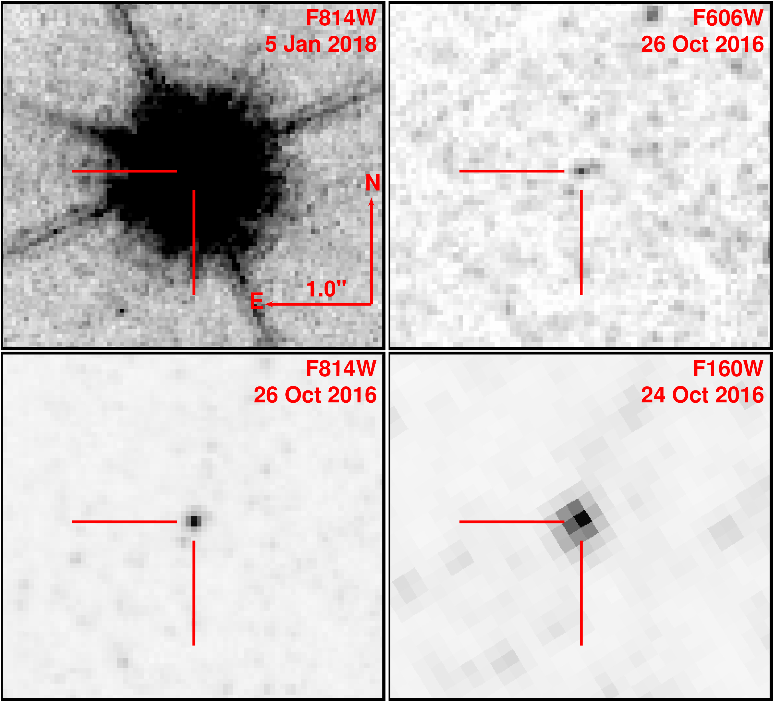 The dusty progenitor star of the Type II supernova 2017eaw - ADS