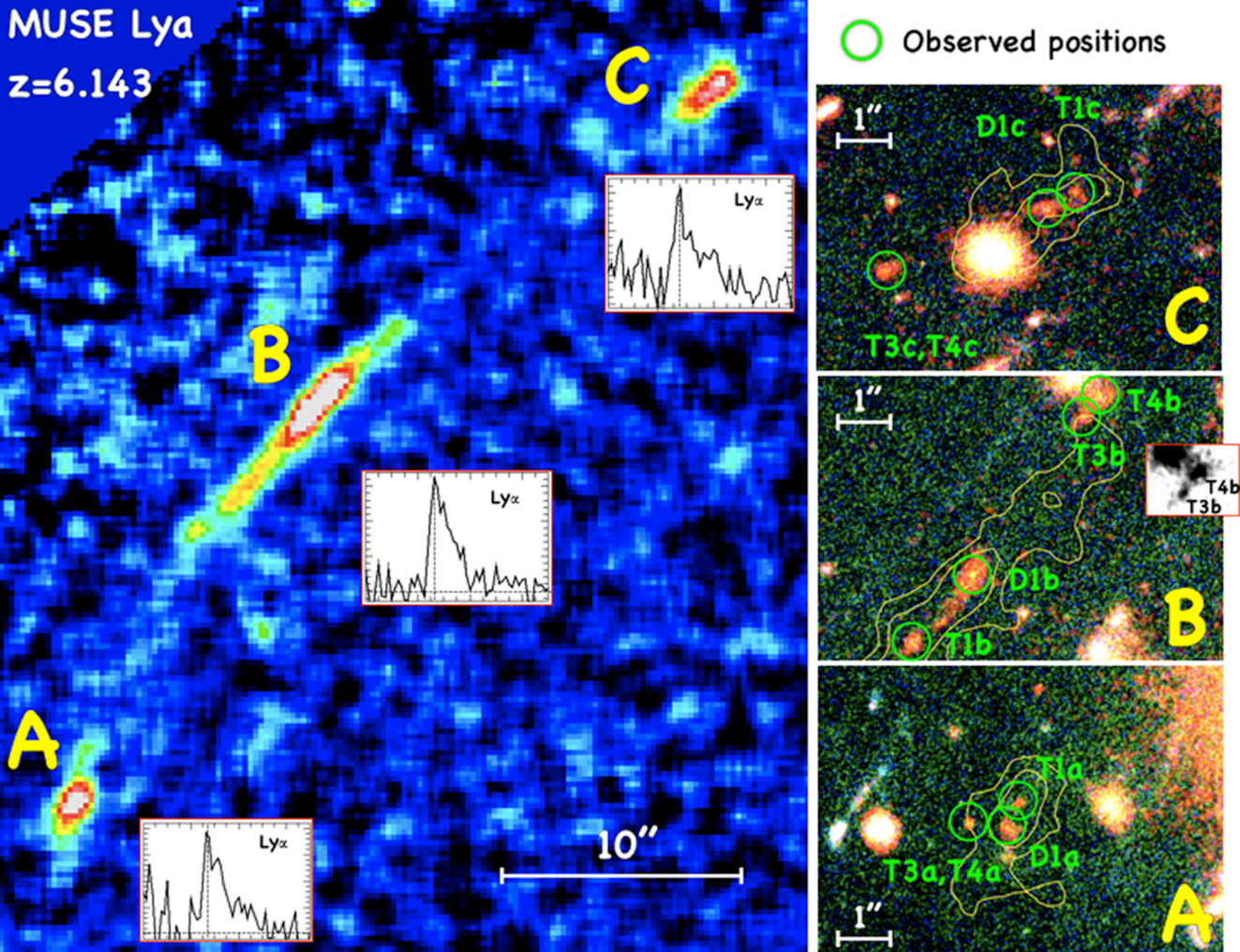 Massive star cluster formation under the microscope at z = 6 - ADS
