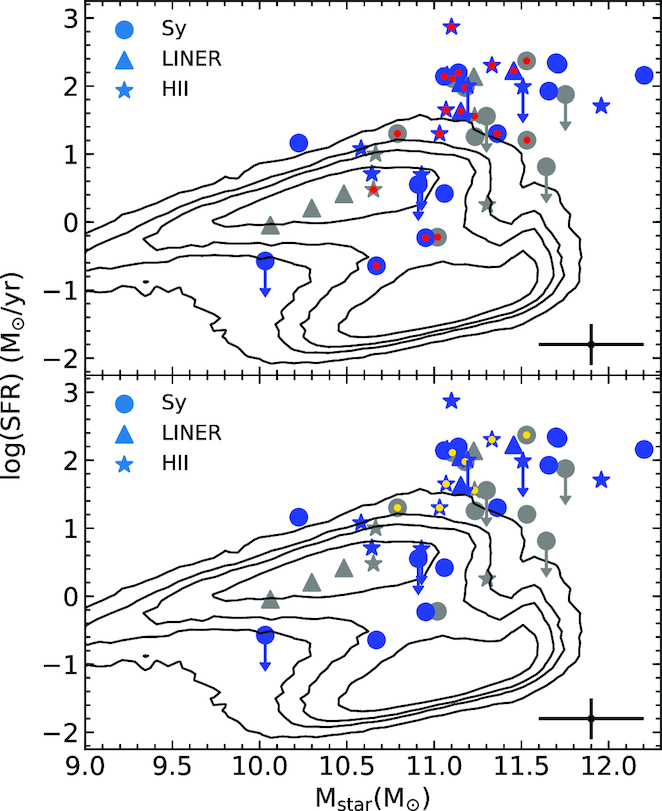 Cold molecular outflows in the local Universe and their feedback effect ...