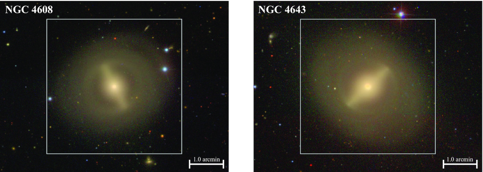 Composite bulges - II. Classical bulges and nuclear discs in barred ...