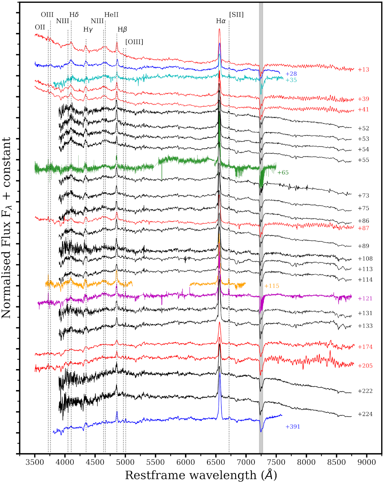 Accretion disc cooling and narrow absorption lines in the tidal ...