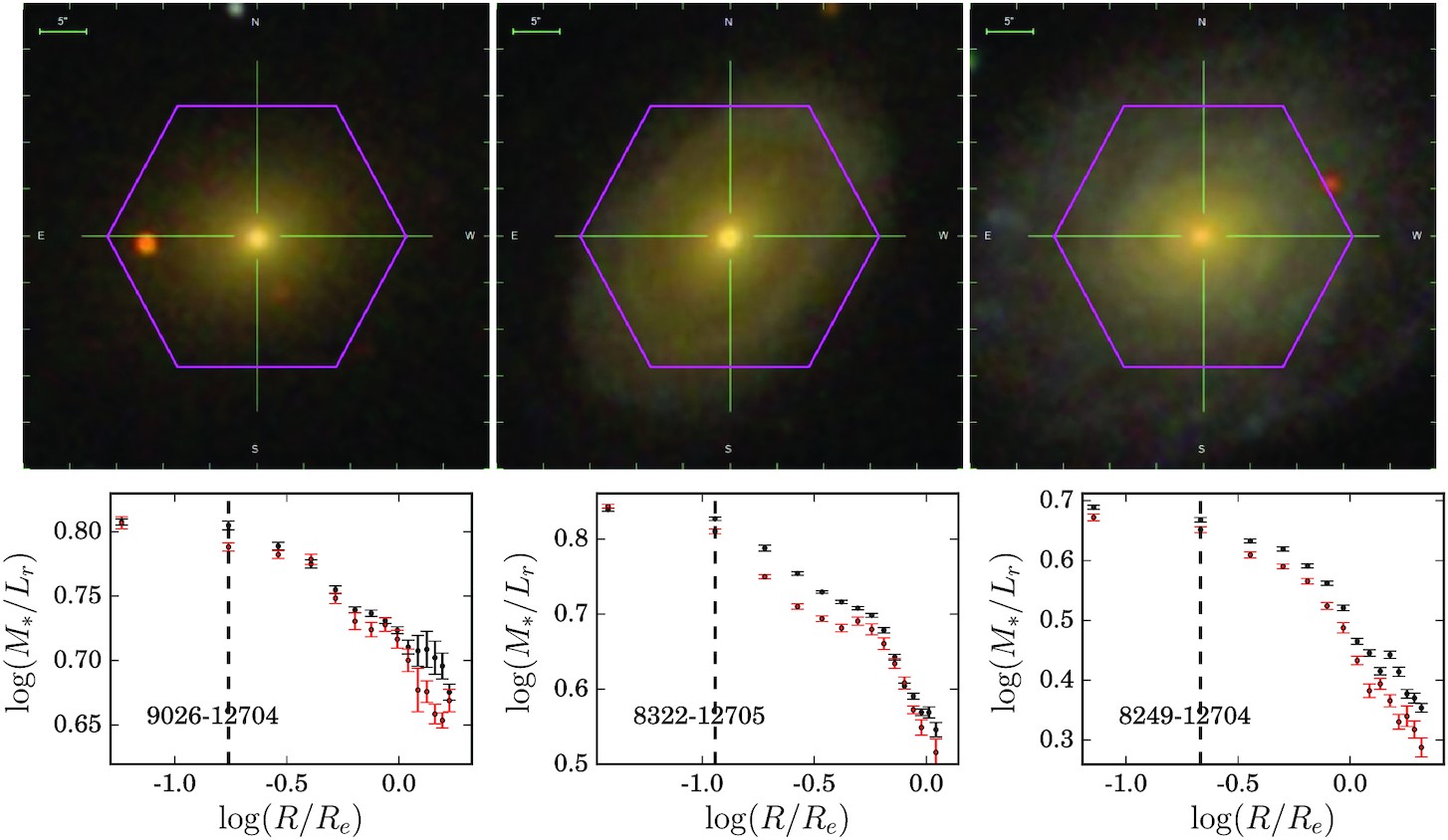 SDSS-IV MaNGA: Stellar M/L gradients and the M/L-colour relation in ...