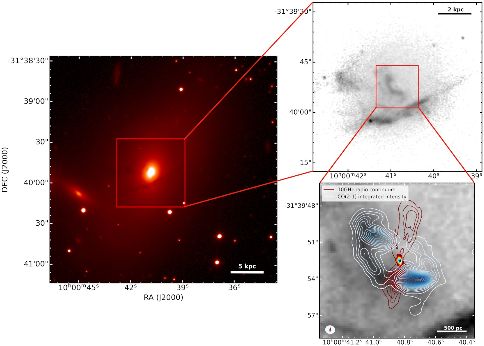 The AGN fuelling/feedback cycle in nearby radio galaxies - IV ...