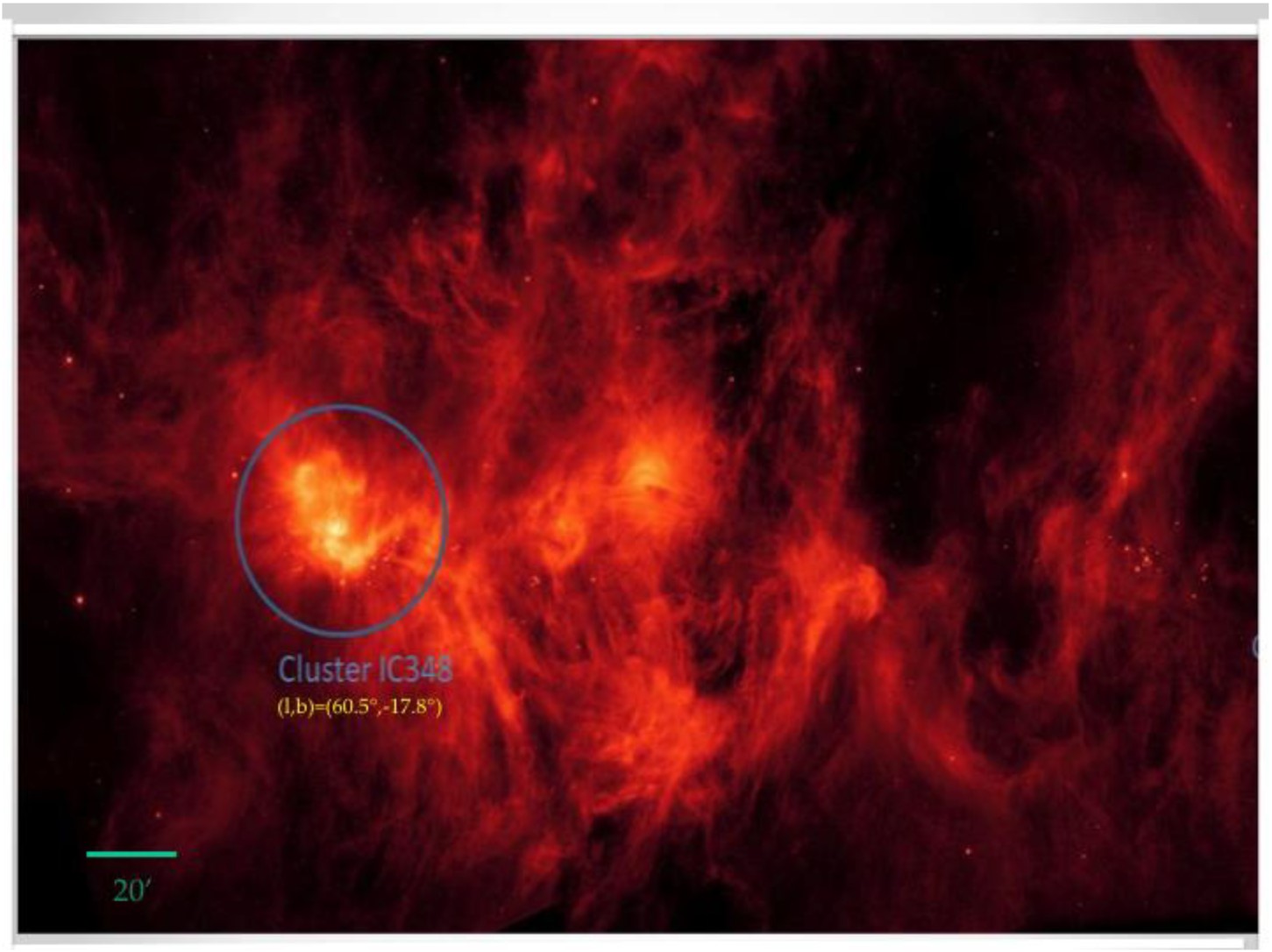 A rich molecular chemistry in the gas of the IC 348 star cluster of the ...