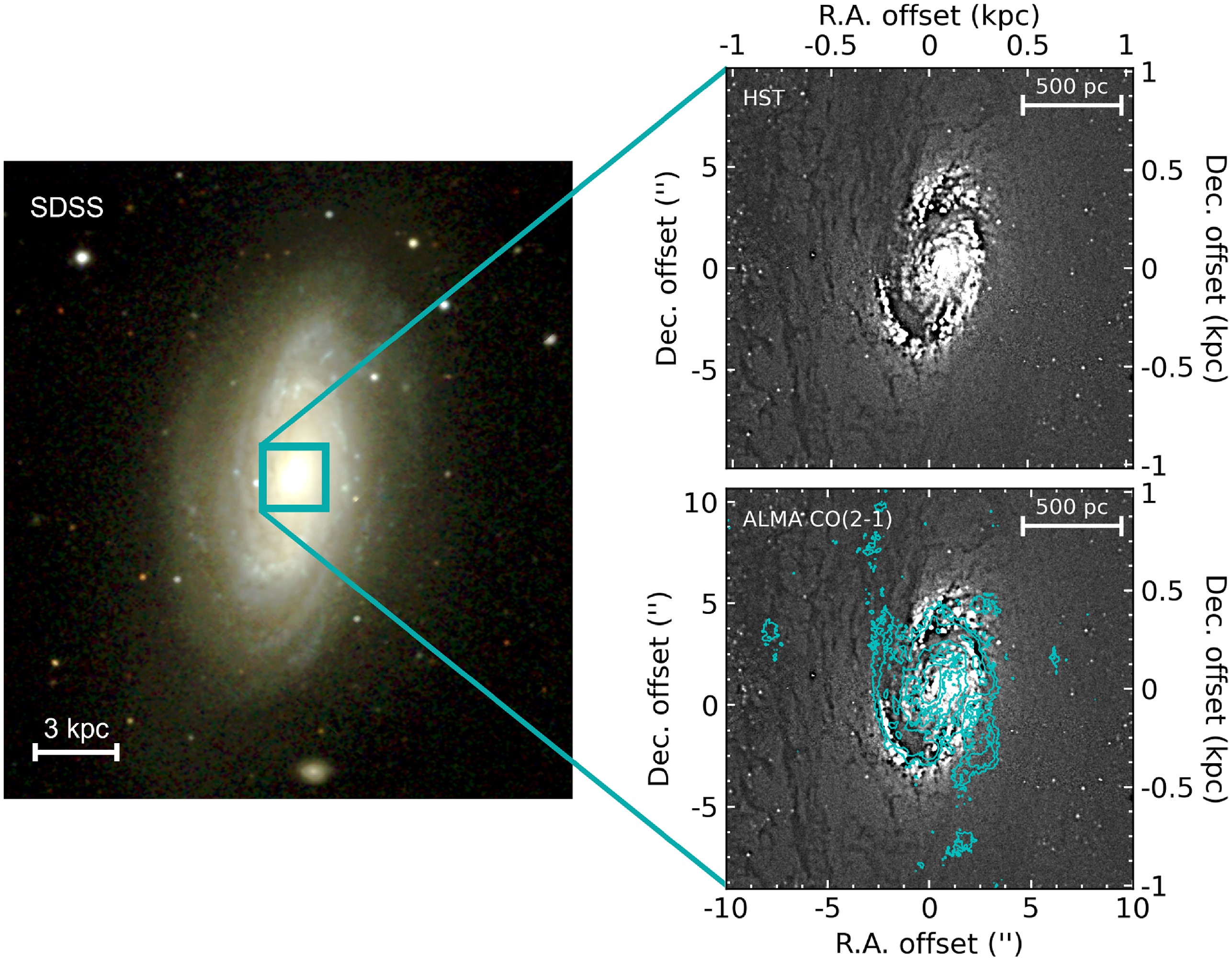 WISDOM Project - XV. Giant molecular clouds in the central region of ...