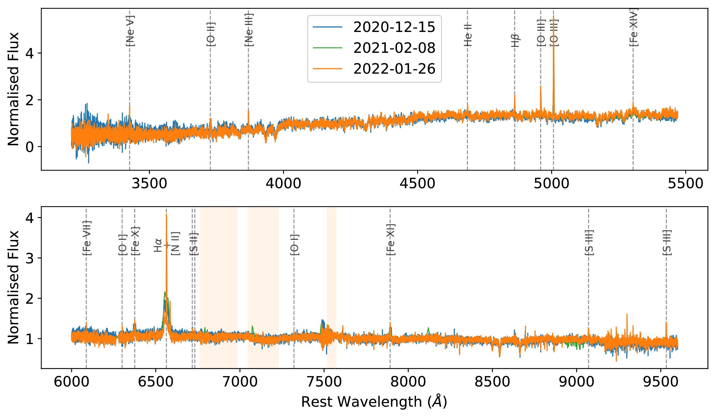 Delayed appearance and evolution of coronal lines in the TDE AT2019qiz ...