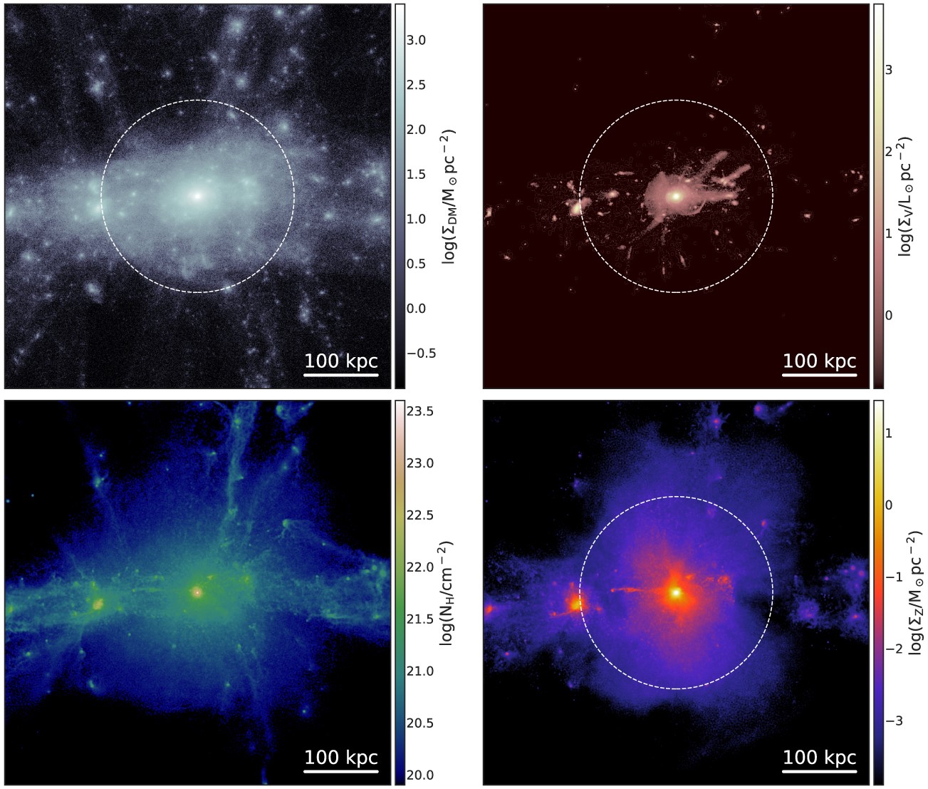 AGN radiation imprints on the circumgalactic medium of massive galaxies ...