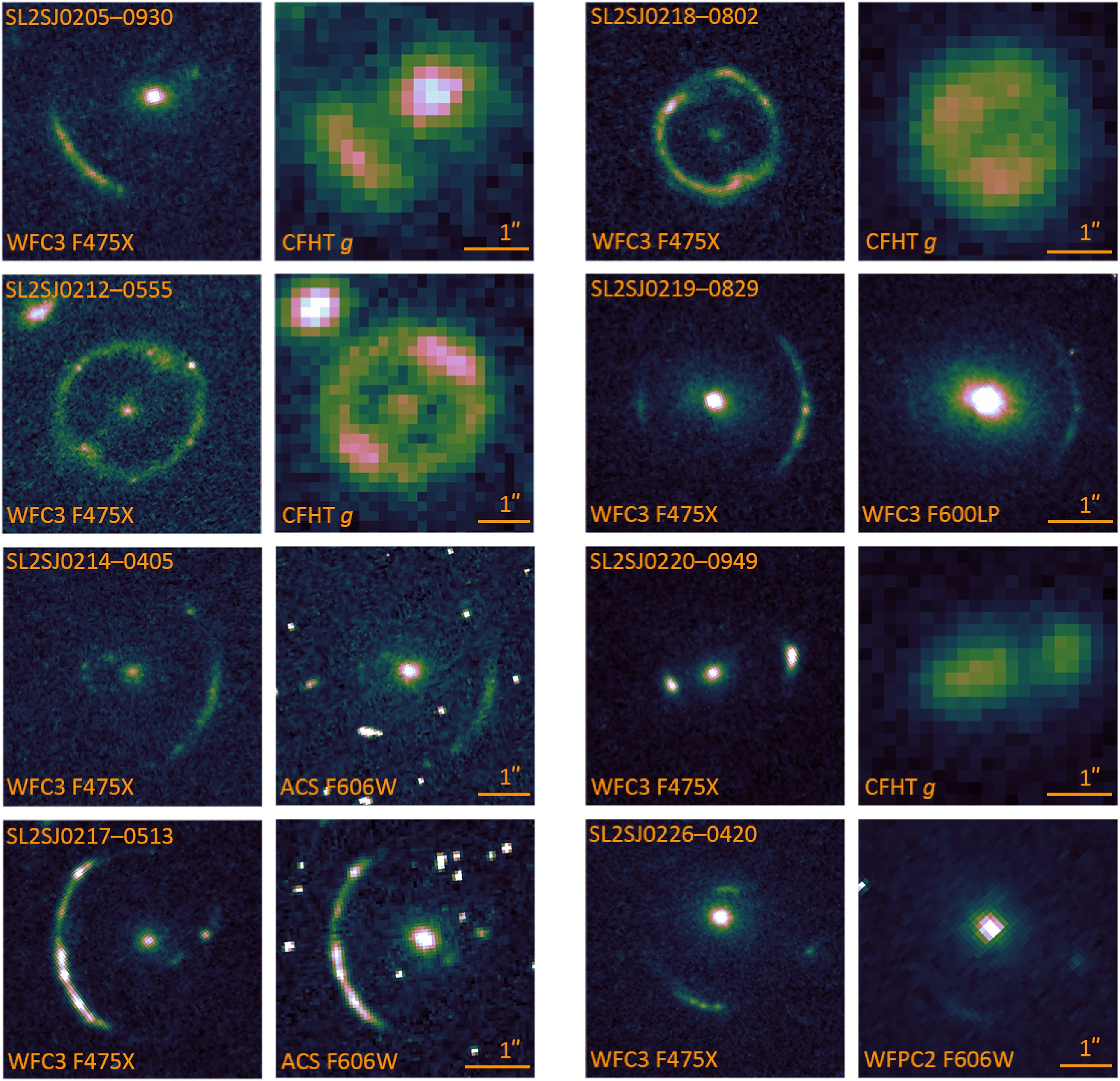 Project Dinos II: redshift evolution of dark and luminous matter ...