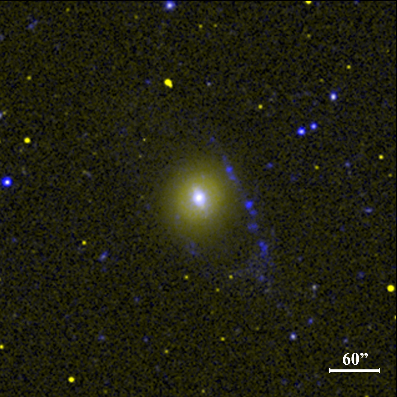 NGC 4262: a Virgo galaxy with an extended ultraviolet ring - NASA/ADS