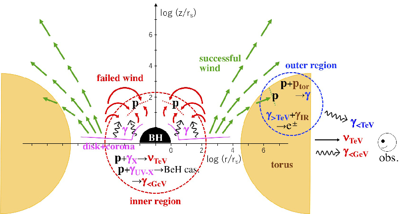 High-energy neutrinos and gamma rays from winds and tori in active ...