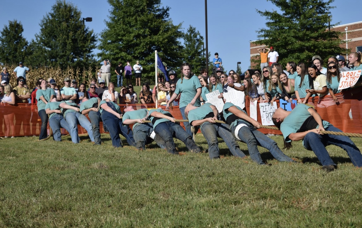 Home | Zeta Tau Alpha at University of Tennessee at Martin | Delta Mu