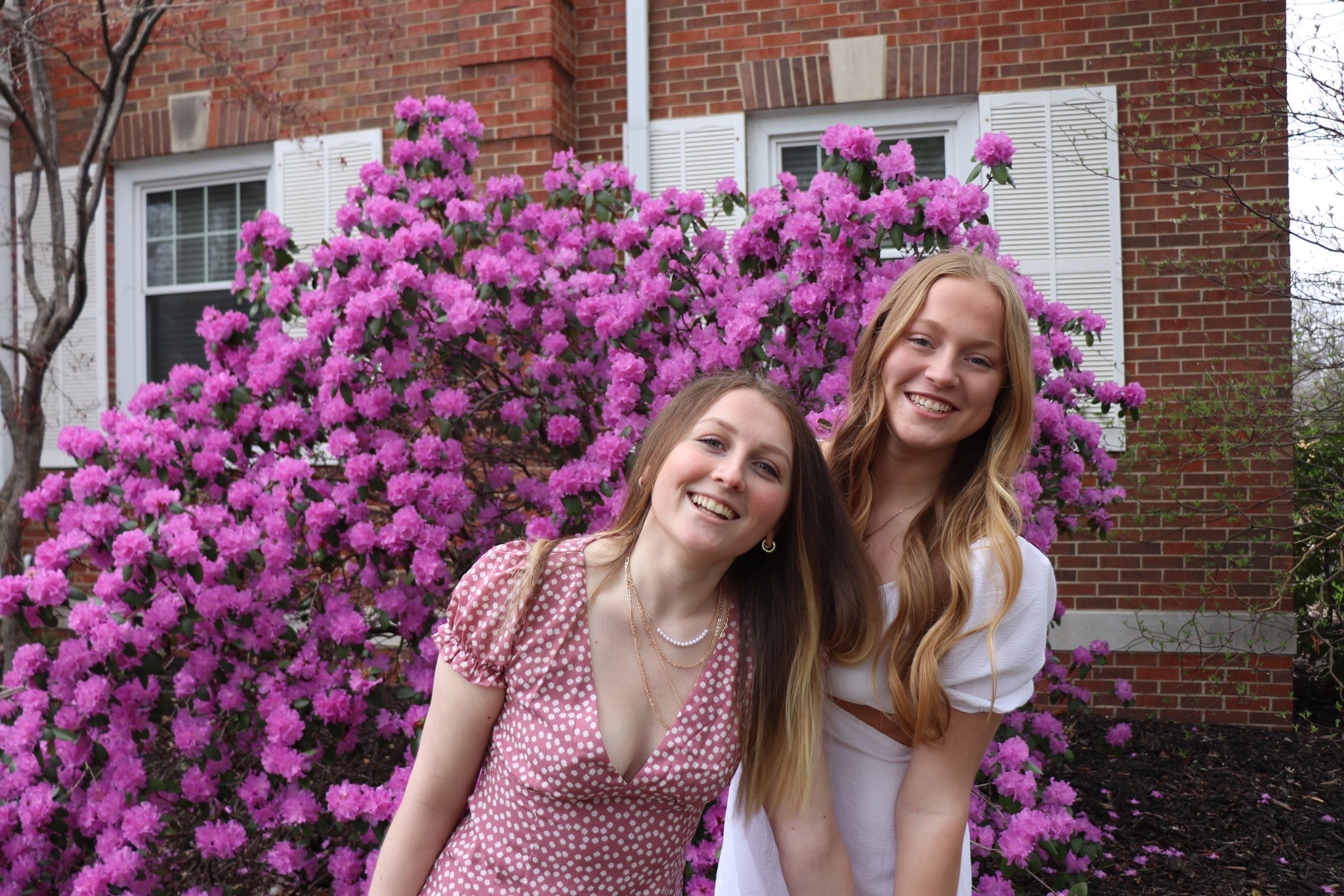 Home | Delta Gamma at University of Iowa