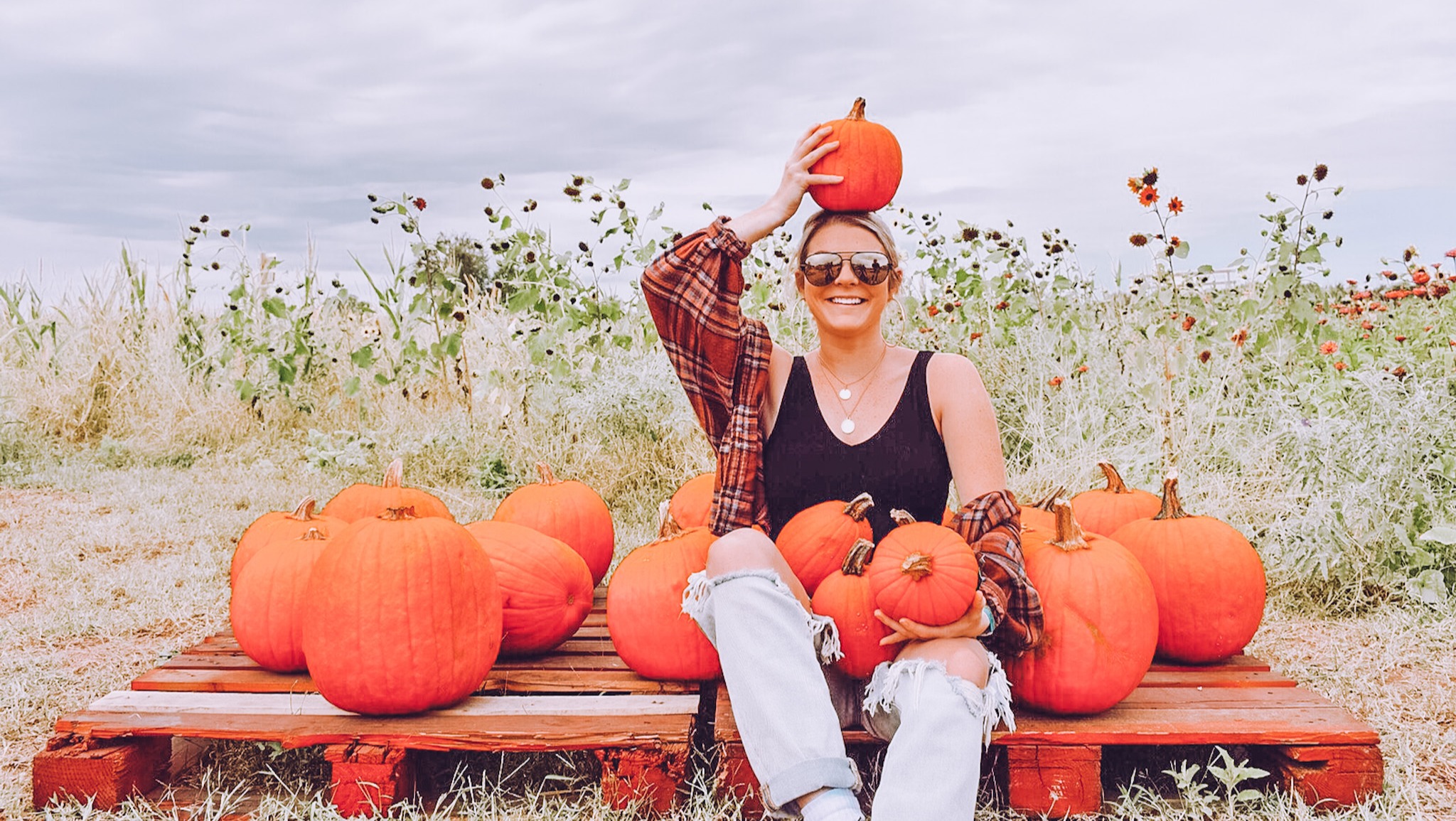 Home | Zeta Tau Alpha at Oklahoma State University | Alpha Upsilon