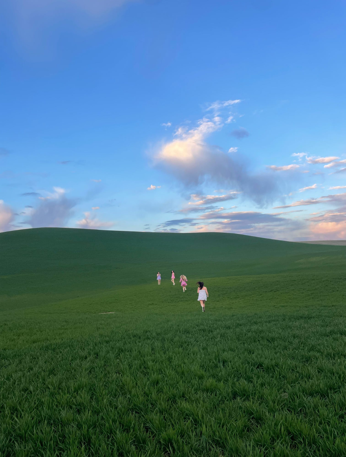 Home | Tri Delta at Washington State University