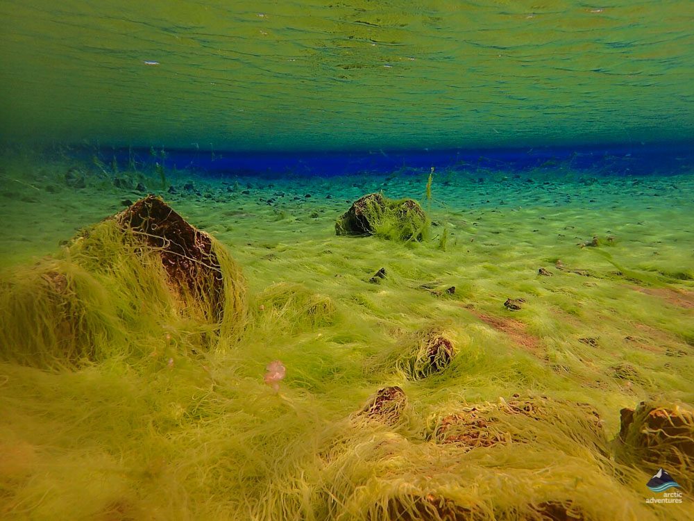 Everything You Need To Know About Snorkeling in Silfra | All About Iceland