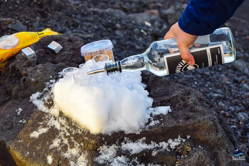 All About Hakarl Iceland's Fermented Shark | Yay or Nay?