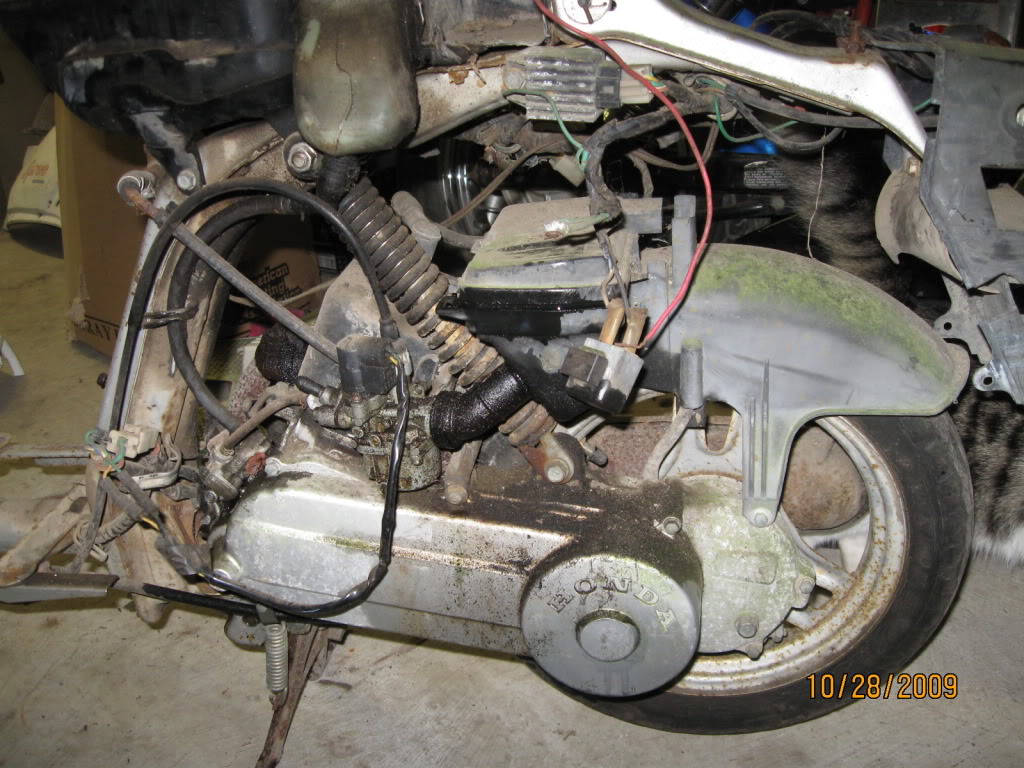 1984 Honda Spree build thread. | Adventure Rider