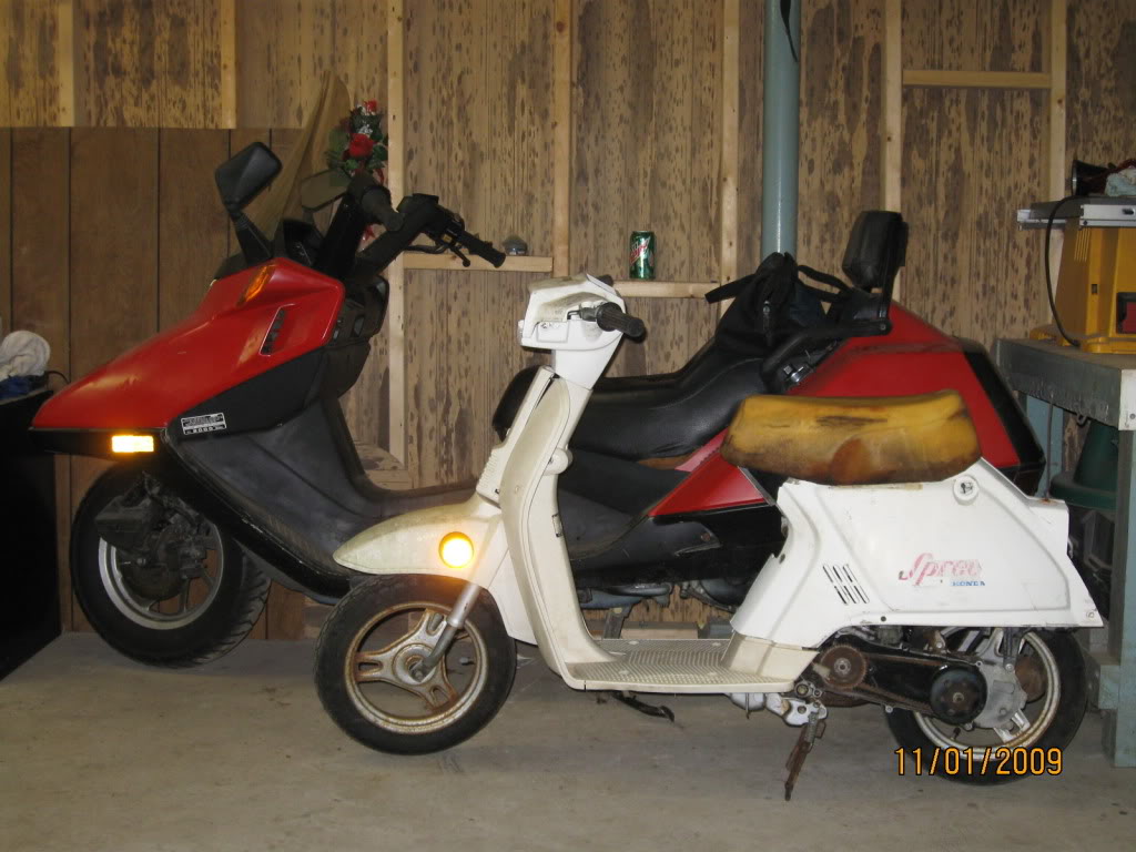 1984 Honda Spree build thread. | Adventure Rider