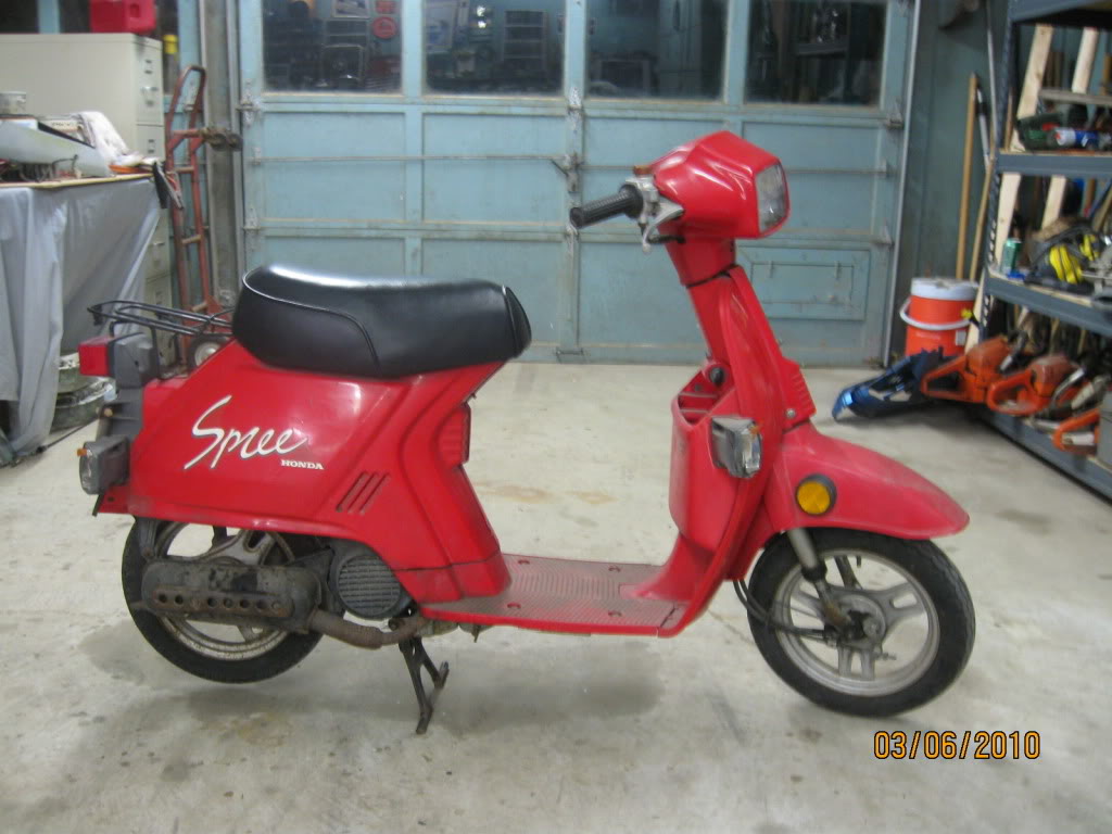 Picked up a nice '87 Honda Spree | Adventure Rider