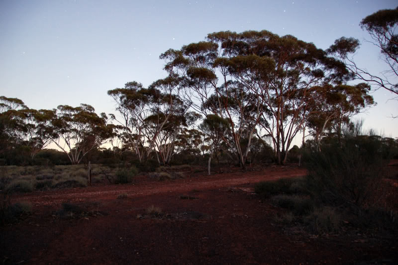 Zanthus, Peak Charles - Western Australia | Adventure Rider