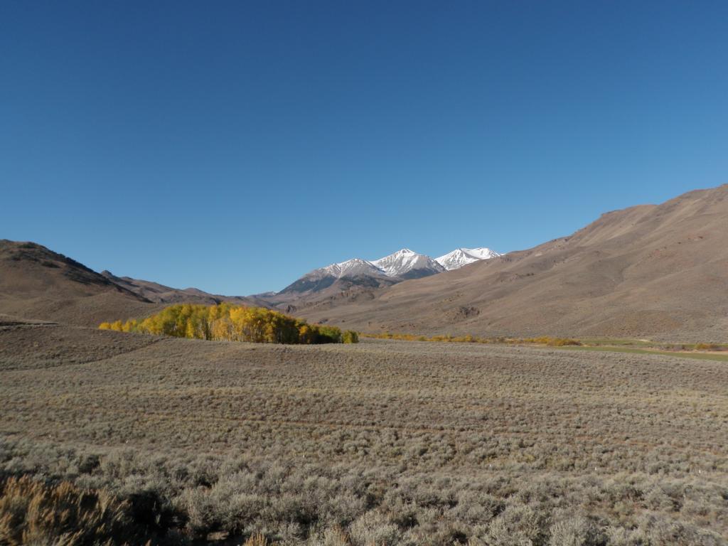 Questor and Byways - Exploring Copper Basin ID | Adventure Rider