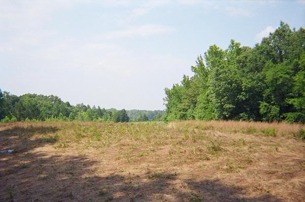Discovering the abandoned town of Campbellton, Georgia. | Adventure Rider