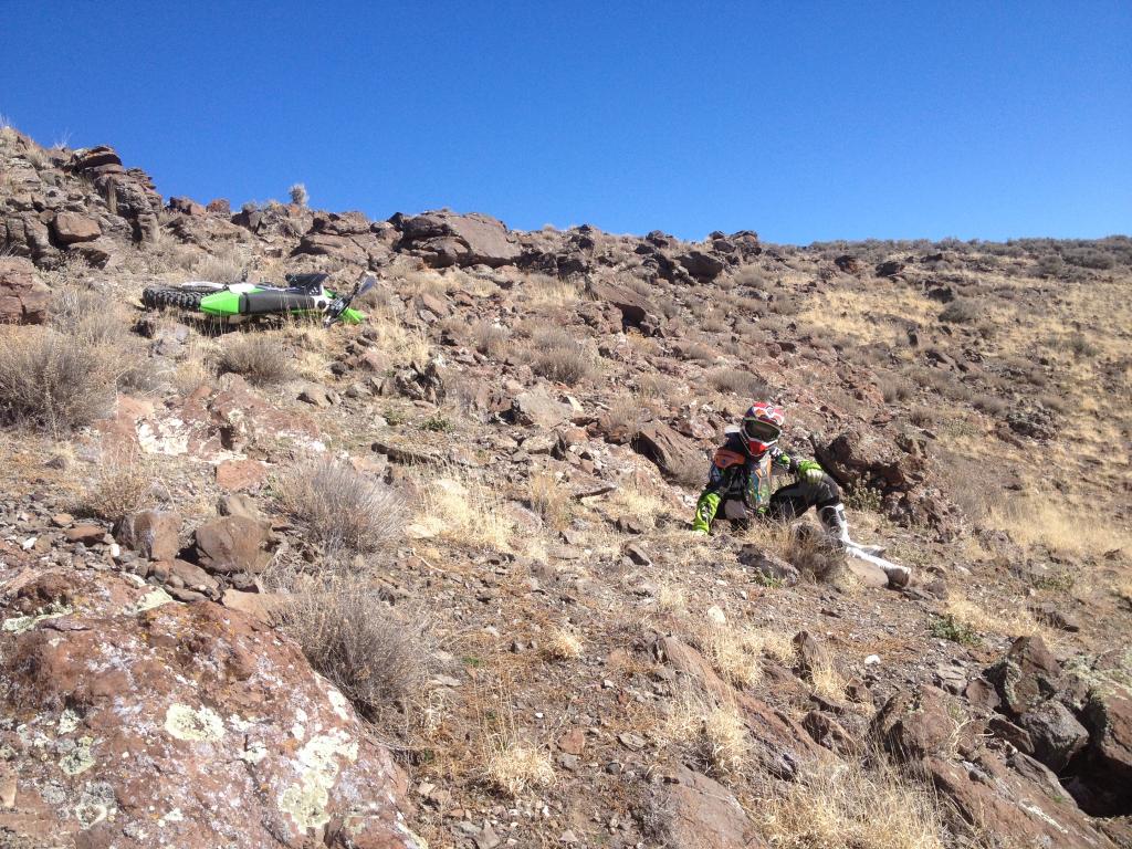 Utards whos riding what | Page 1117 | Adventure Rider