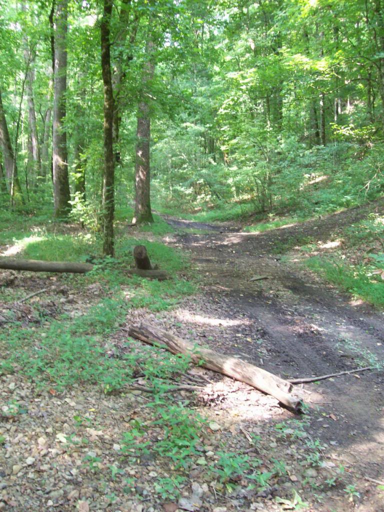 Kentucky backroads | Page 2 | Adventure Rider