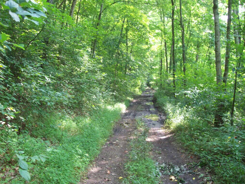 Kentucky backroads | Page 2 | Adventure Rider