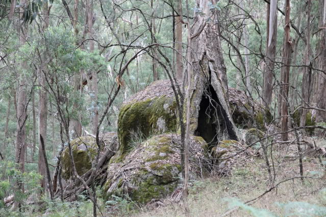 Strathbogie Ranges and "the disaster on Lighting Ridge Track ...