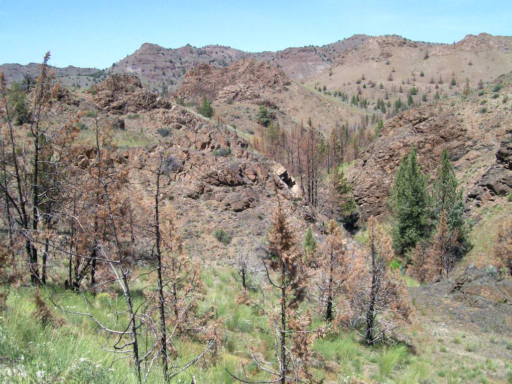 Oregon Backcounty Discovery Route | Page 2 | Adventure Rider