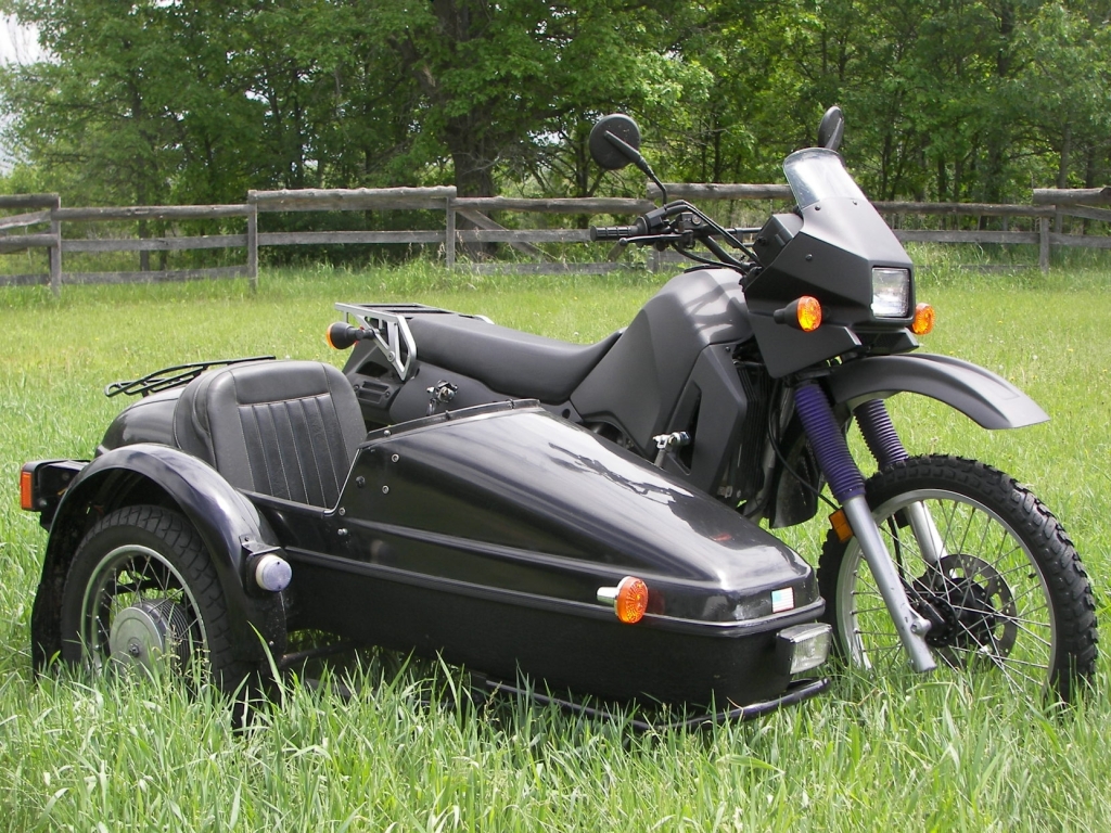 Sidecars- Lets see em. | Page 218 | Adventure Rider