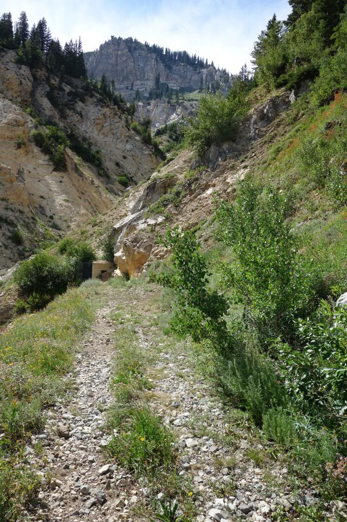 Wandered in to Snake Creek | Adventure Rider