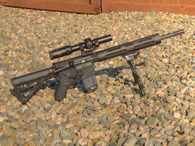 Show us your AR Varmint Rifle... | Adventure Rider