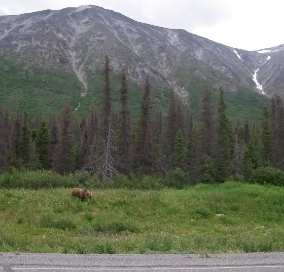Alaska Ducati Goes To Annette Island, Alaska's Only Reservation ...