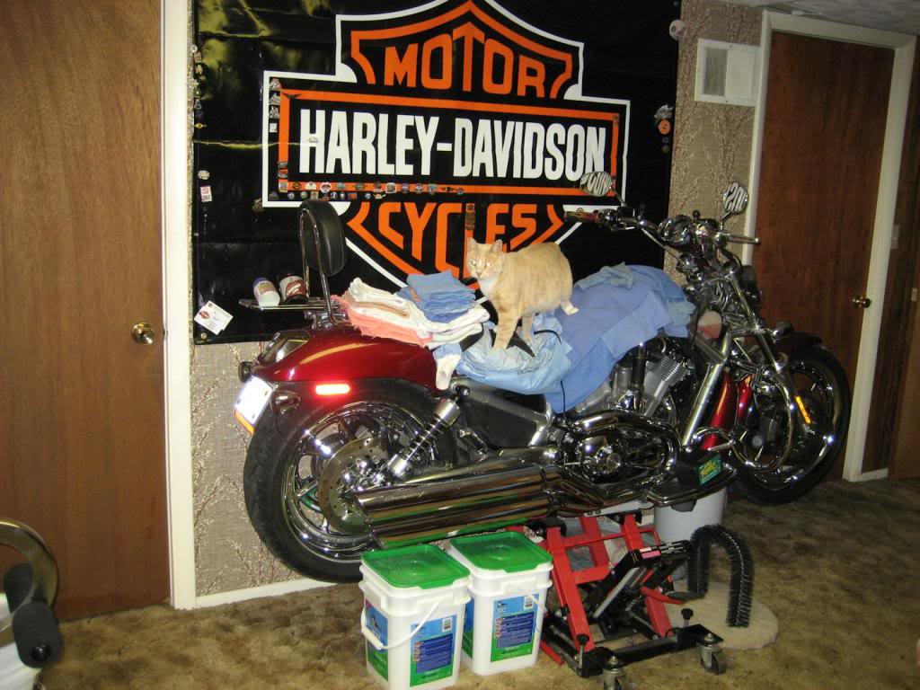 Motorcycles Parked In Your Living Room | Adventure Rider