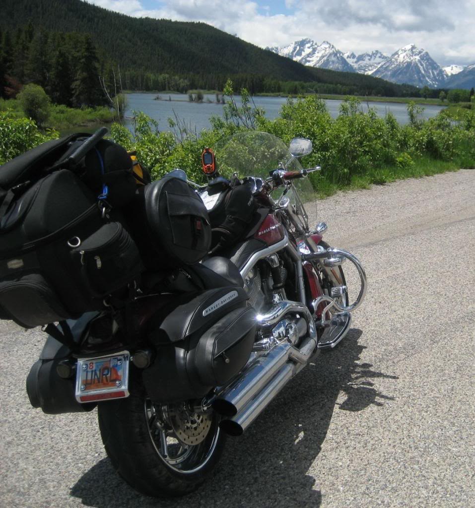 Cool Custom Motorcycle License Plates Photos | Page 17 | Adventure Rider