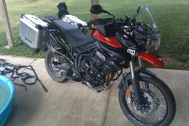 Show us your Triumph Tiger 800 XC pictures | Page 2 | Adventure Rider