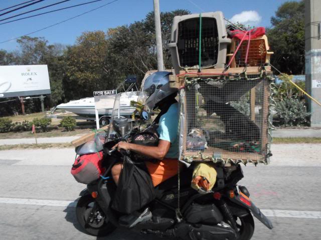 Overloaded bikes | Page 11 | Adventure Rider