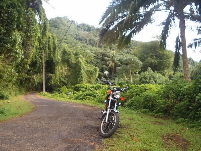 Rarotonga - Hardly an adventure ride. | Adventure Rider