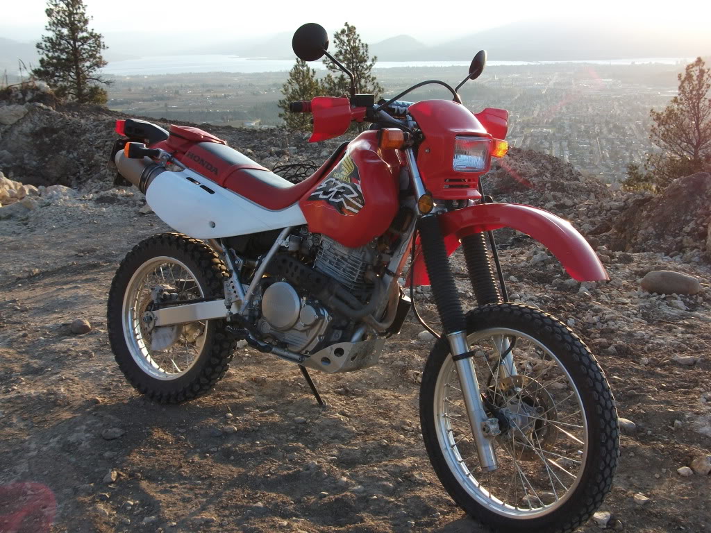 Honda XR650L? | Adventure Rider