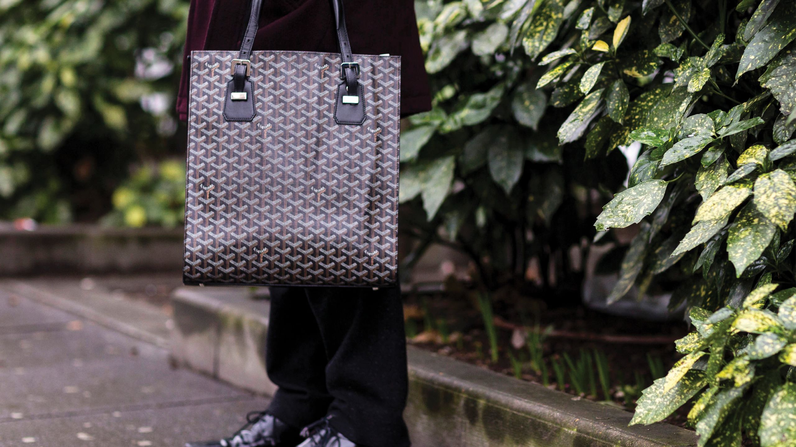 The Allure of Goyard
