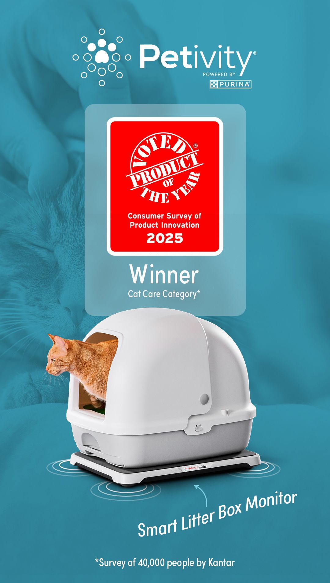 Where Bold Ideas Meet Big Results: Celebrating the 2025 Meta Award Winners