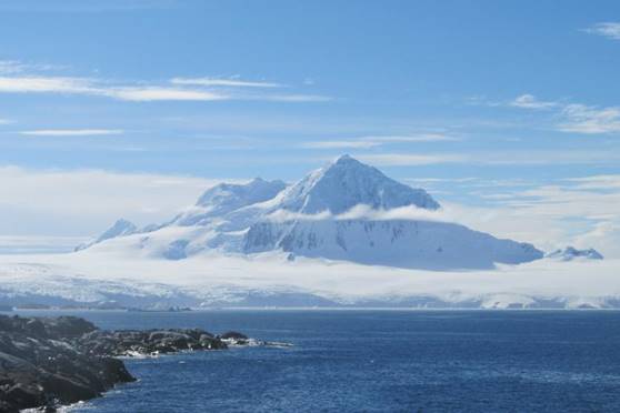 UK entomologist receives substantial grant to study Antarctic insects