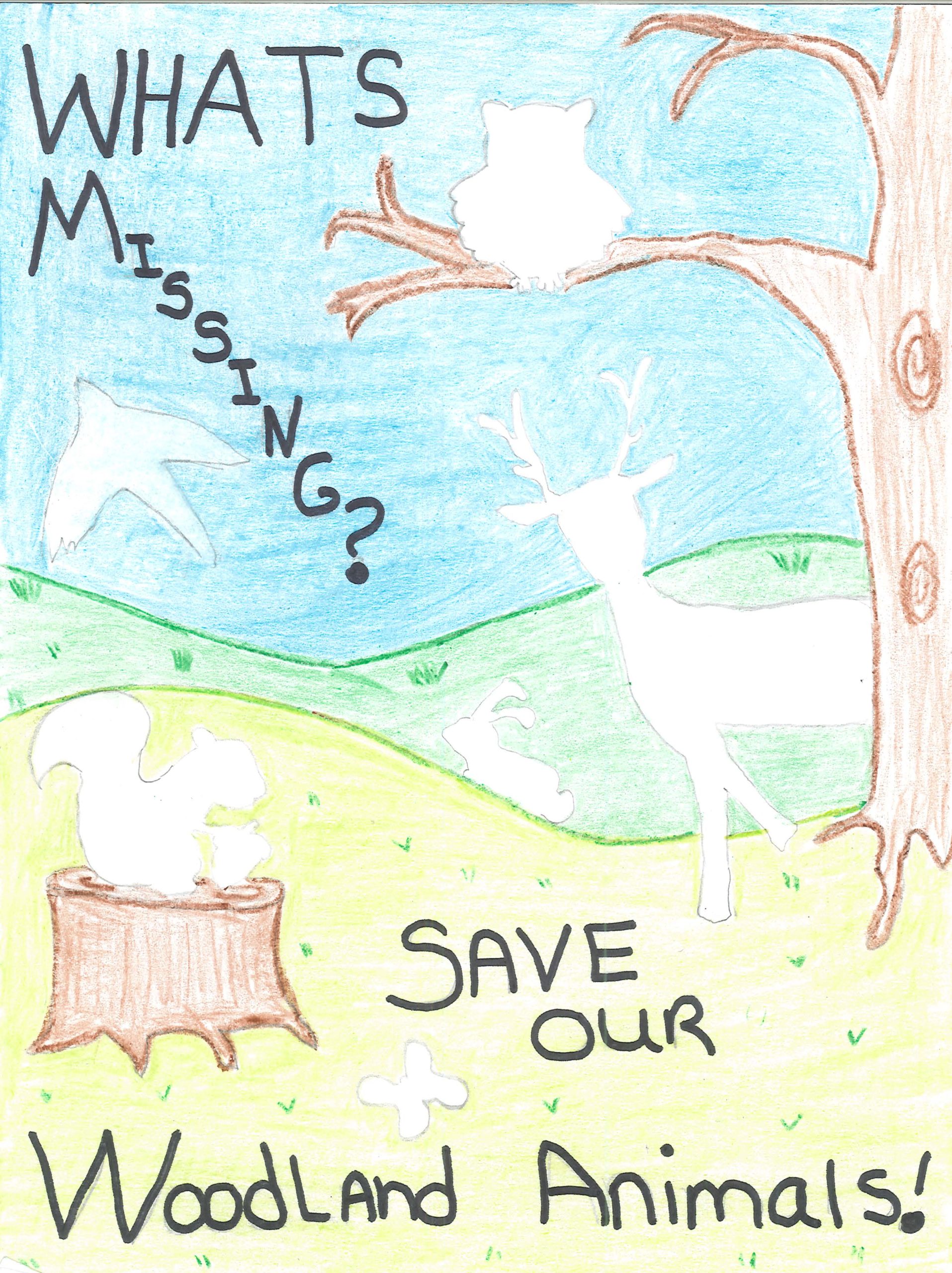 Winners of the 2021 Jim Claypool Art and Conservation Writing Contest ...