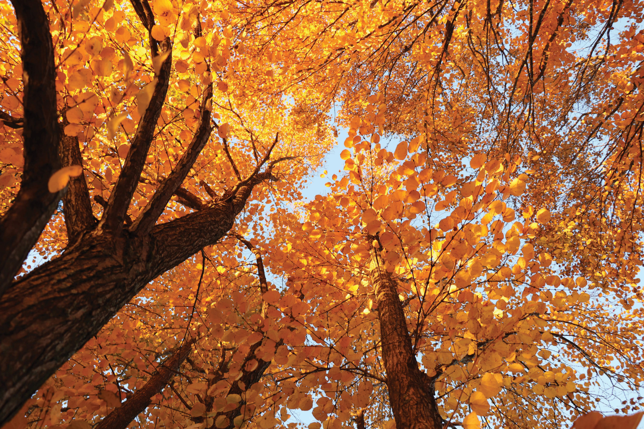 Photo gallery: Collaborative community