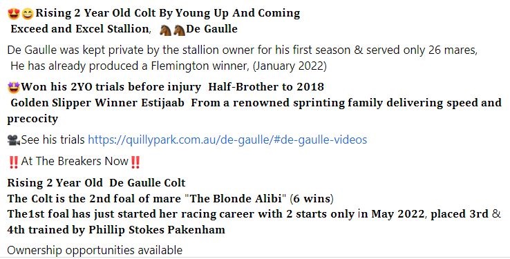 ThoroughBred Racing | Home Affairs pulls up lame following Platinum ...