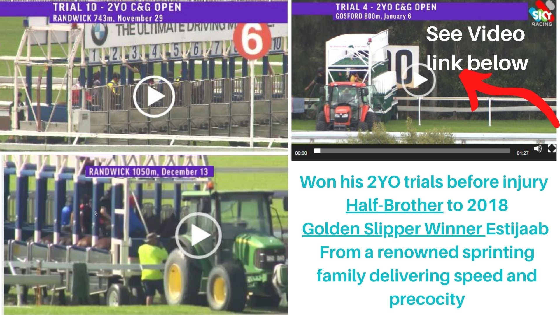 ThoroughBred Racing | Home Affairs pulls up lame following Platinum ...